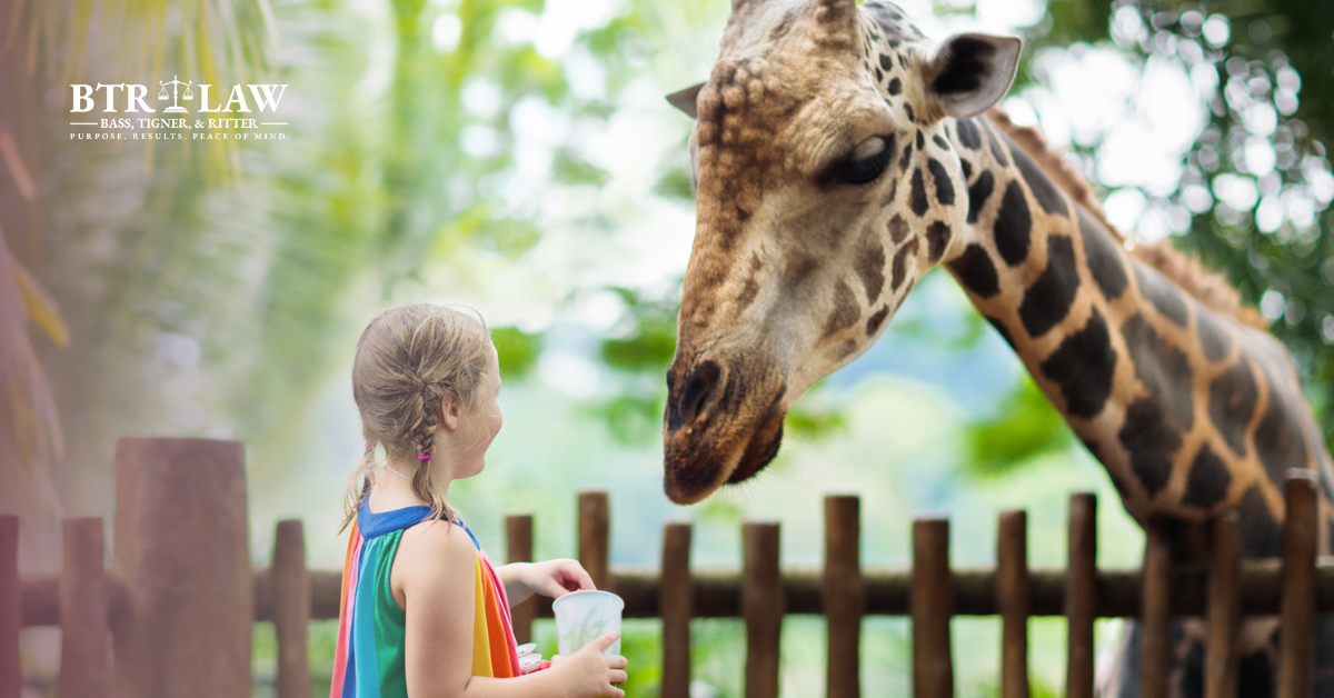 10 Summer Visitation Activities You and Your Children Can Enjoy